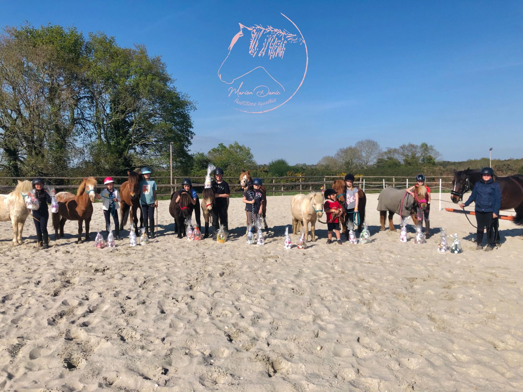 Activités - Ecurie CLV